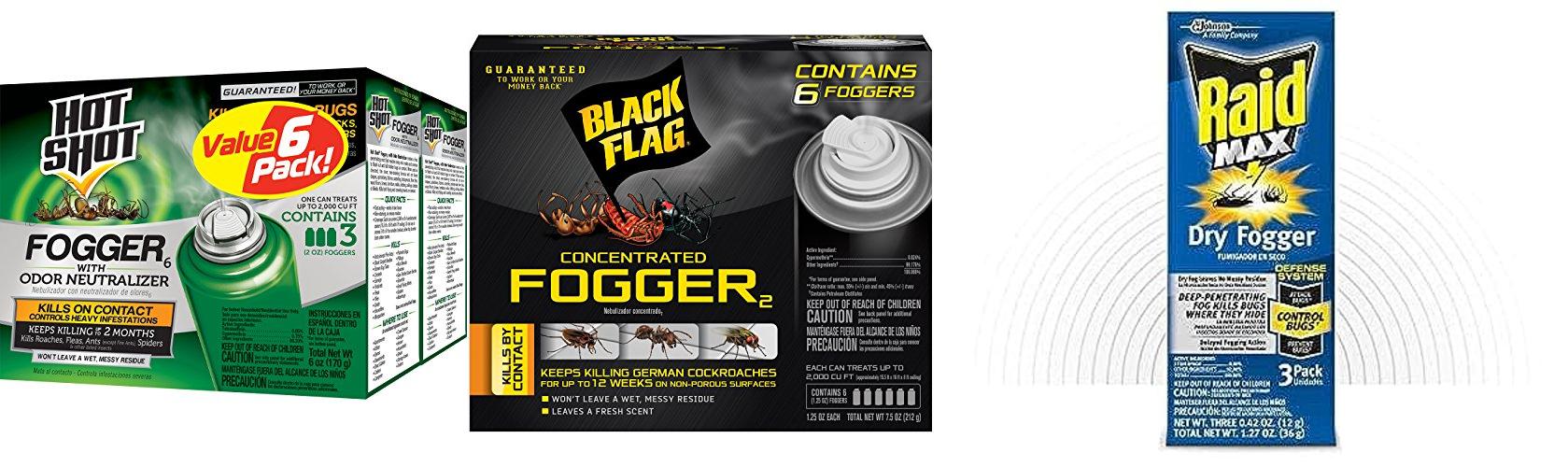 Top 5 Bug Bombs for Spiders: Reviews & Buyer's Guide